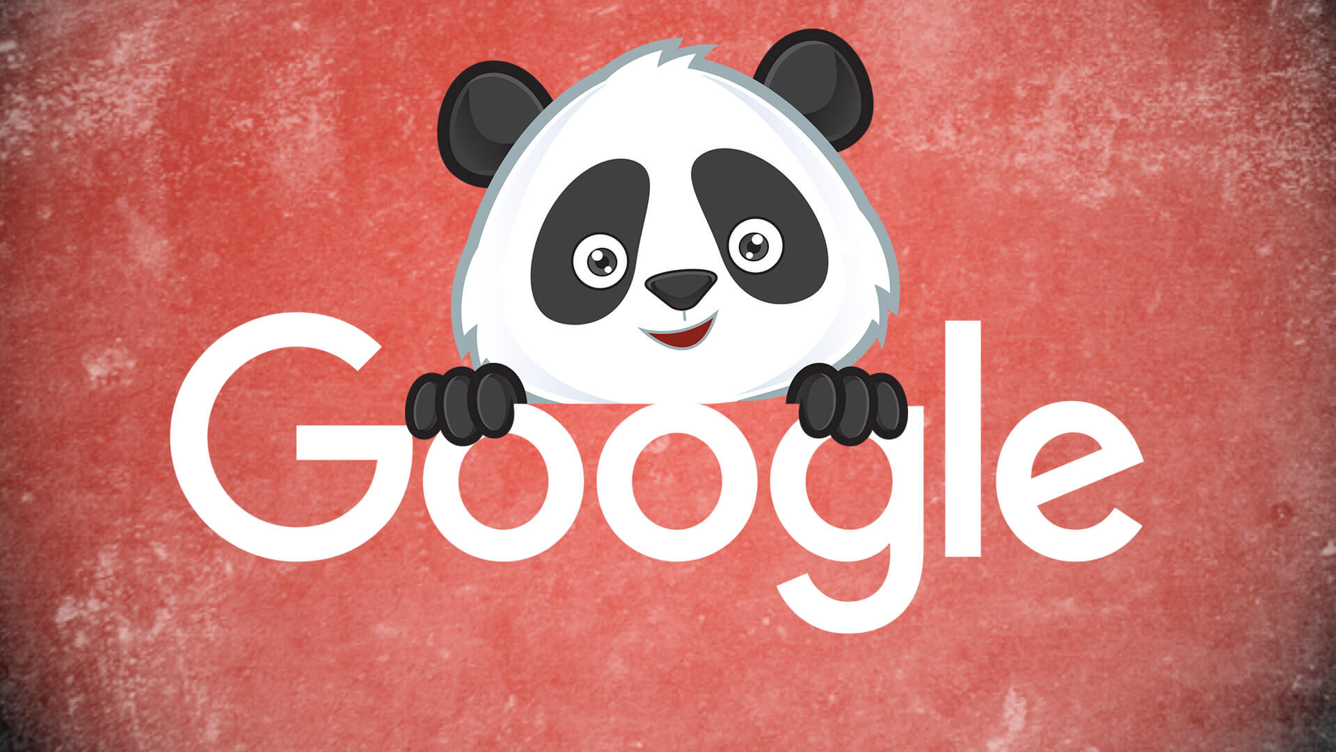 What is the Google Panda update all about? - Technotipz